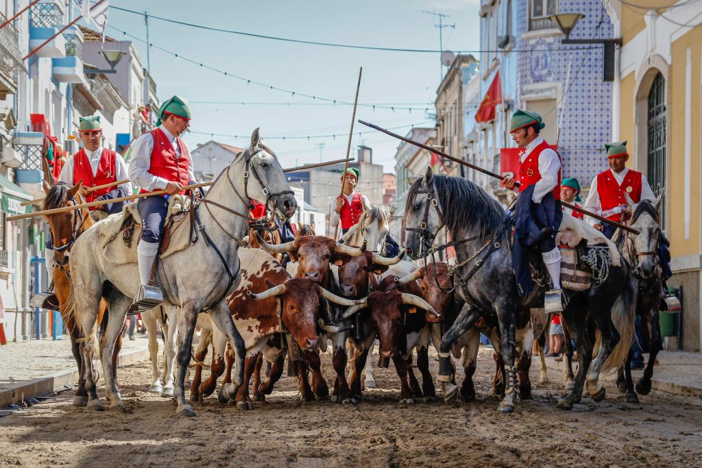 Colete Encarnado – XIRATAXIS